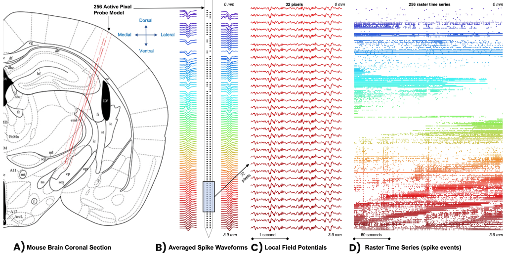 SiNAPS Pixel Probes - NeuroNexus