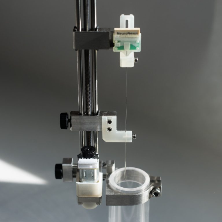 Large Animal - NeuroNexus