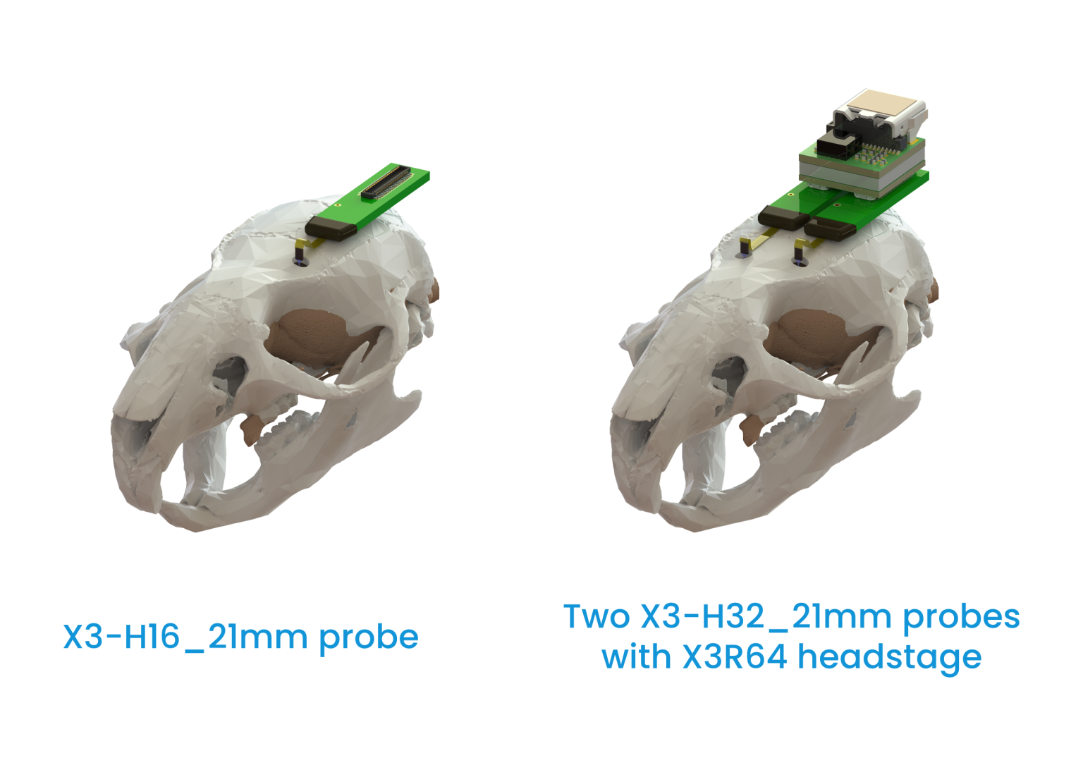 New Connector Package: X-Series - NeuroNexus