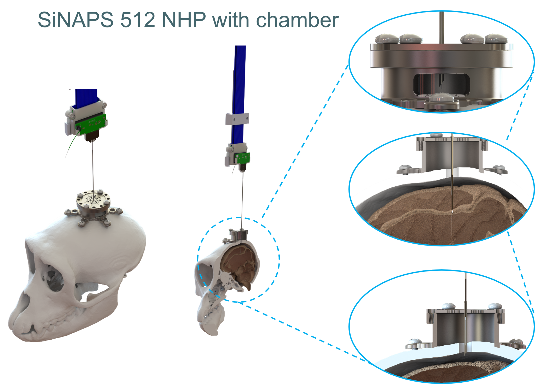SiNAPS Pixel Probes - NeuroNexus